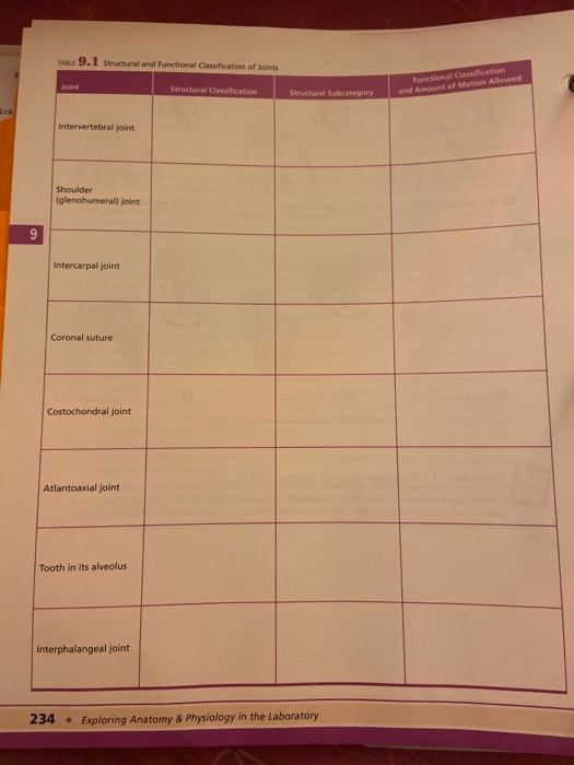 Solved TABLE 9 1 Structural And Functional Classification Of Chegg