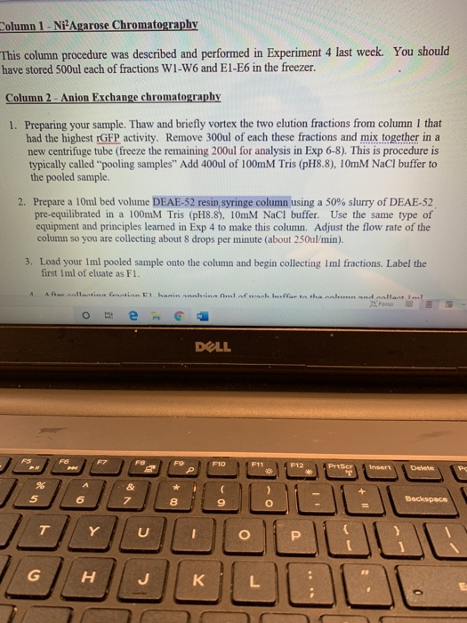 Styles Editing Paragraph Adobe Acrobat Step Sample | Chegg.com