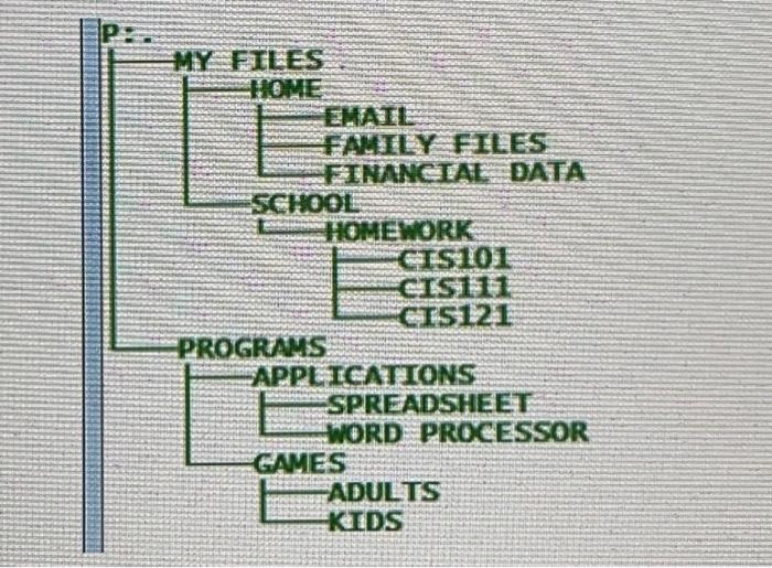Solved Move to the CIS111 directory on the Data disk and | Chegg.com