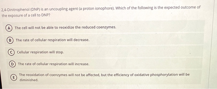 Solved 2,4-Dinitrophenol (DNP) is an uncoupling agent (a | Chegg.com
