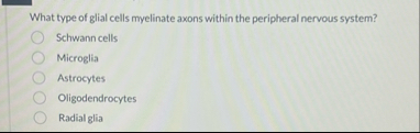 Solved What type of glial cells myelinate axons within the | Chegg.com