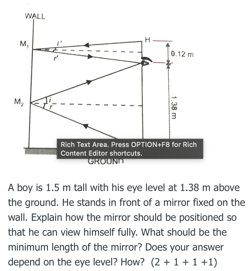 Solved A boy is 1.5m ﻿tall with his eye level at 1.38m | Chegg.com