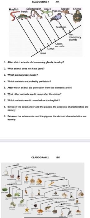 Solved CLADOGRAM 1 Hagfish Salamander Lizard Perch Feathers | Chegg.com