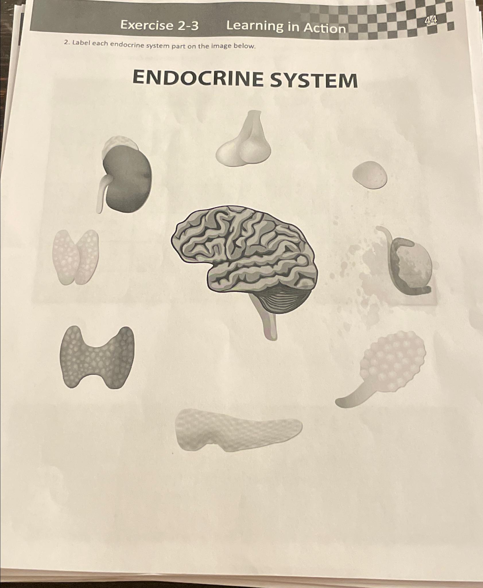Solved Exercise 2-3 ﻿Learning in Action2. ﻿Label each | Chegg.com