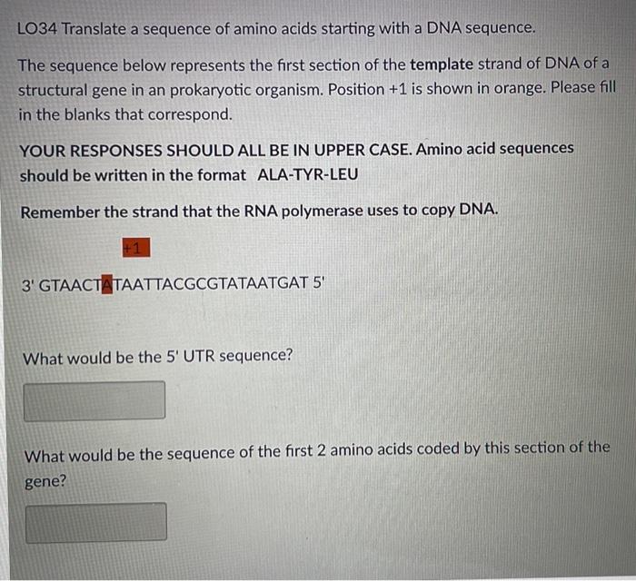 Solved LO34 Translate a sequence of amino acids starting | Chegg.com