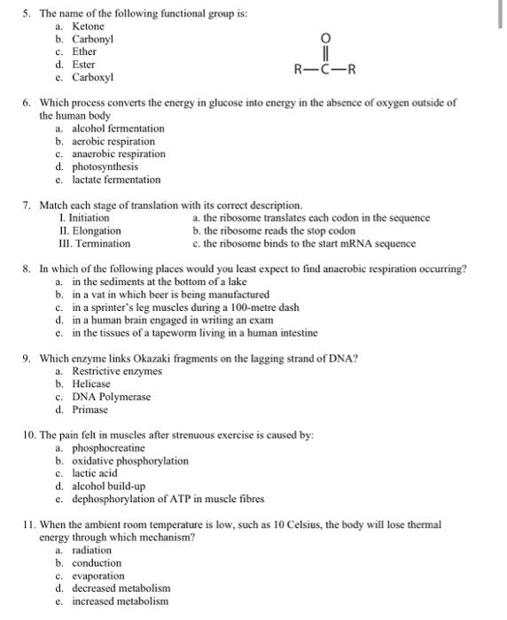 Solved 5. The name of the following functional group is: a. | Chegg.com