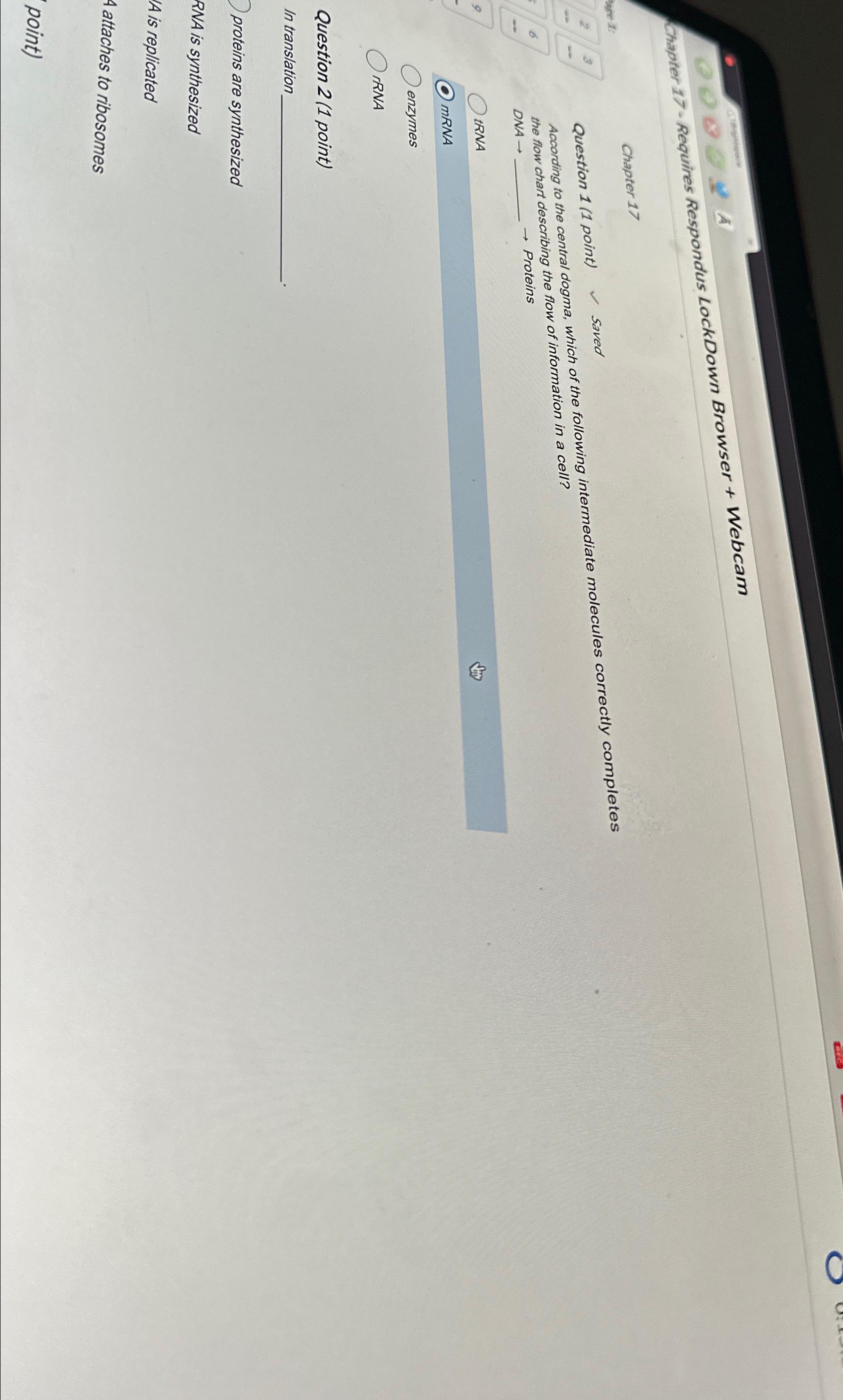 Solved Chapter 17 - ﻿Requires Respondus LockDown Browser + | Chegg.com