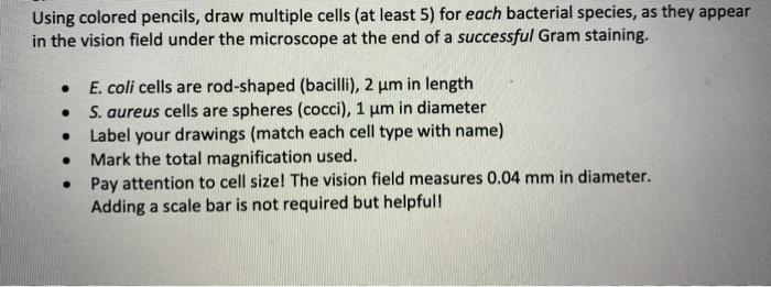 Solved Using colored pencils, draw multiple cells (at least | Chegg.com