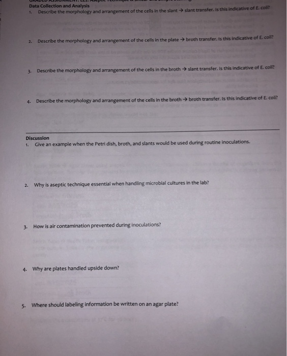 Data Collection and Analysis Describe the morphology | Chegg.com