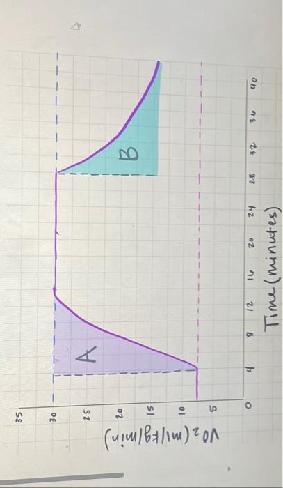 Solved Below is a sketch of an oxygen uptake curve. The pink | Chegg.com