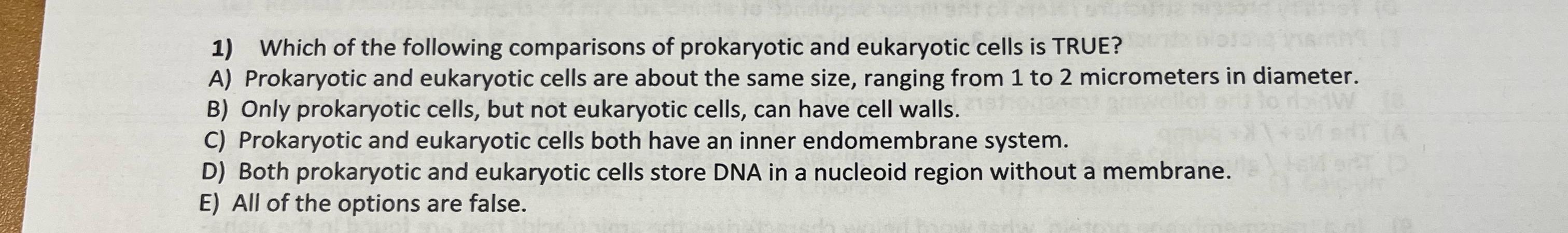 Solved Which of the following comparisons of prokaryotic and | Chegg.com