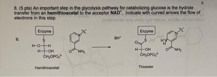 Solved 6 8. (5 pts) An important step in the glycolysis | Chegg.com