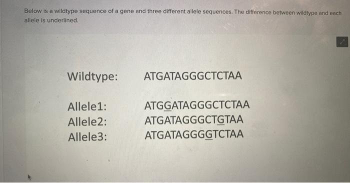 Solved Below is a wildtype sequence of a gene and three | Chegg.com
