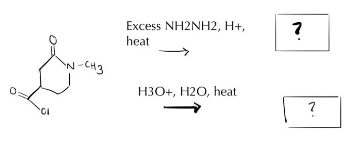 Solved Excess NH2NH2, H+, heat 7 . N - CH3 H30+, H2O, heat 7 | Chegg.com