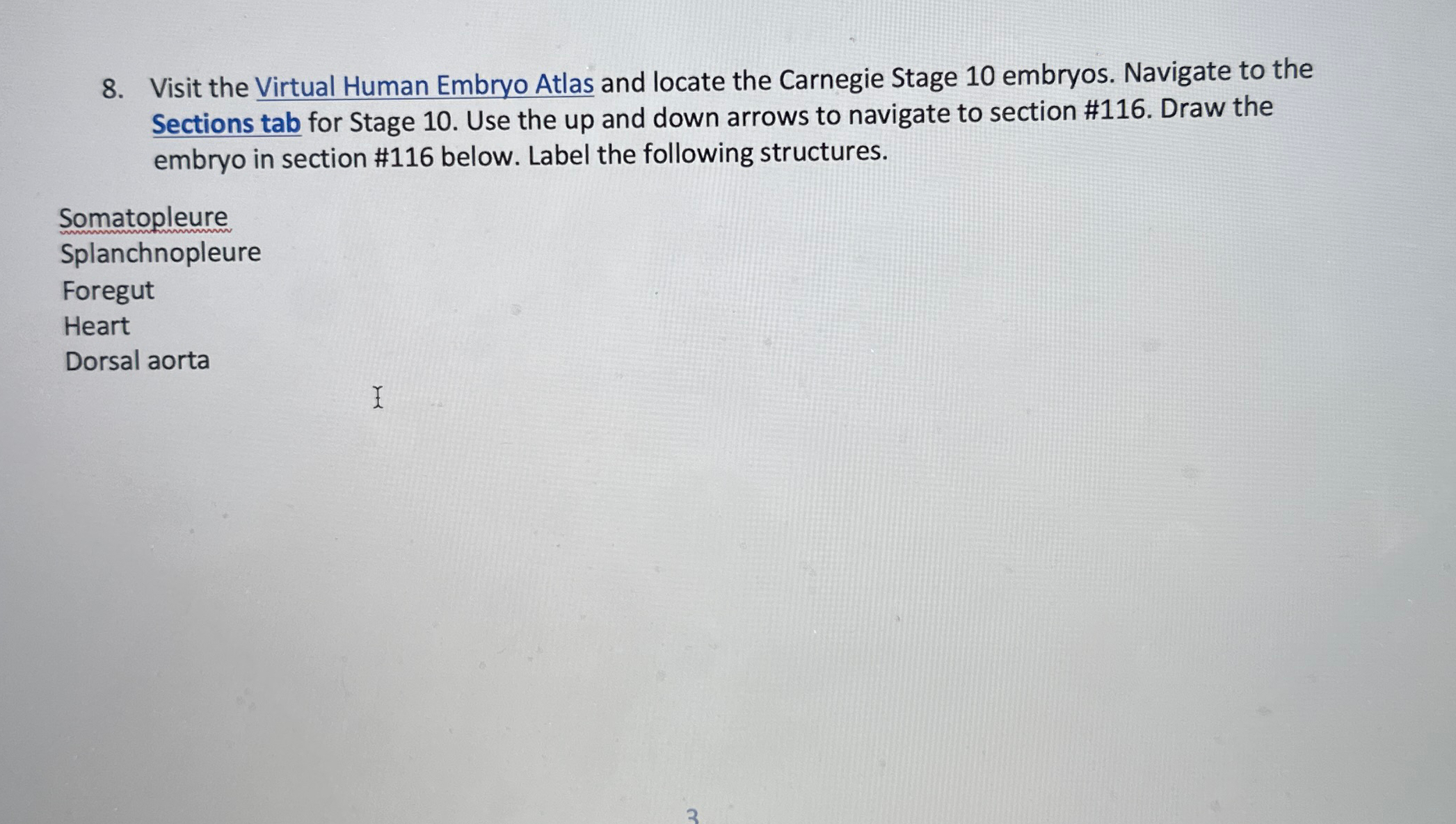 Visit the Virtual Human Embryo Atlas and locate the | Chegg.com