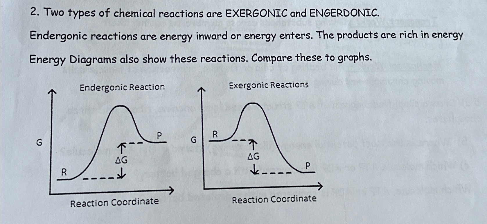 Solved Two types of chemical reactions are EXERGONIC and | Chegg.com
