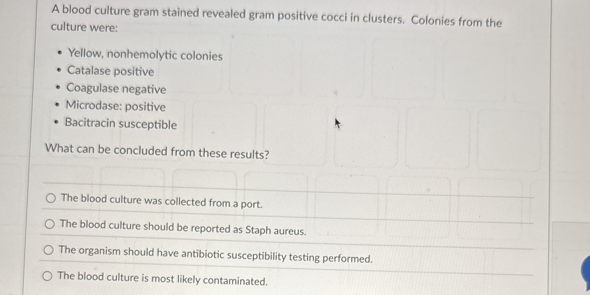 Solved A blood culture gram stained revealed gram positive | Chegg.com