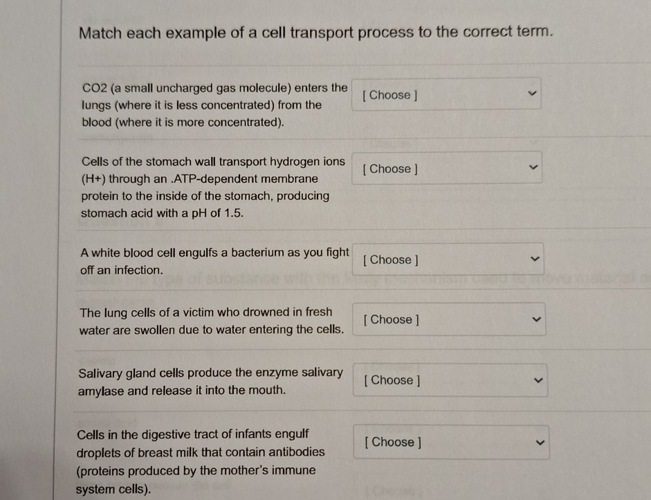 Solved Match each example of a cell transport process to the | Chegg.com