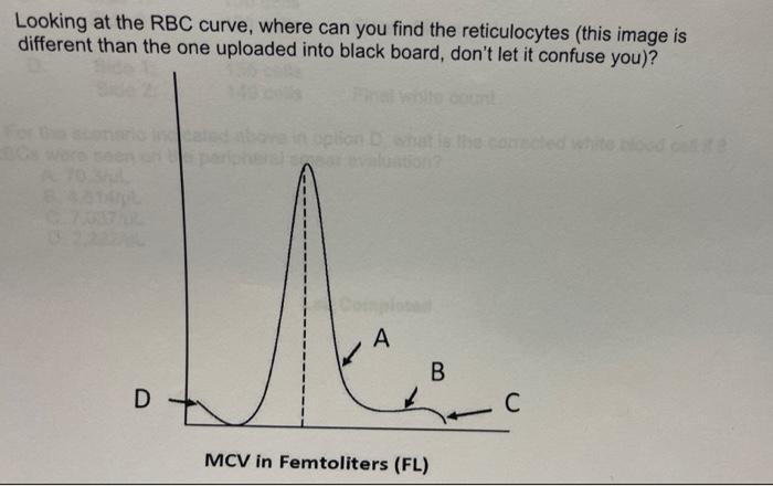 Solved Looking at the RBC curve, where can you find the | Chegg.com