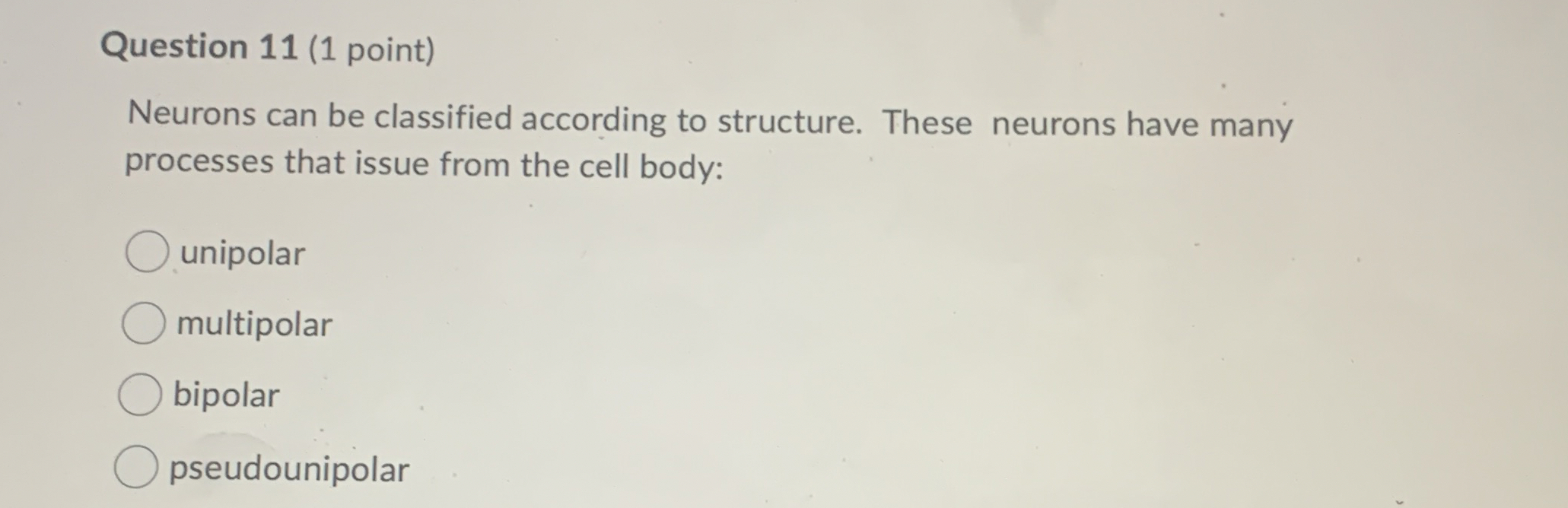 Solved Question 11 (1 ﻿point)Neurons can be classified | Chegg.com