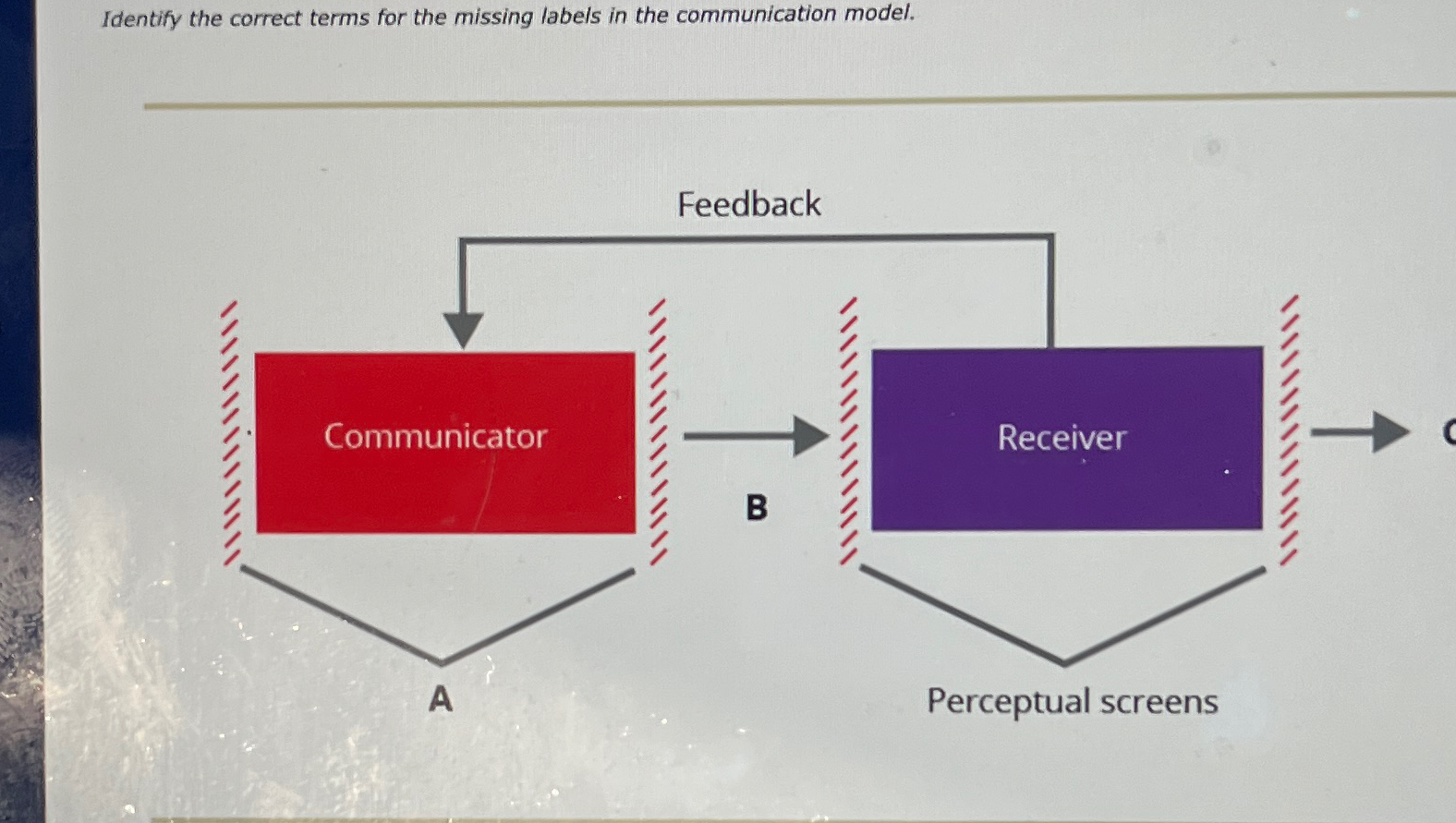 Solved Identify the correct terms for the missing labels in | Chegg.com