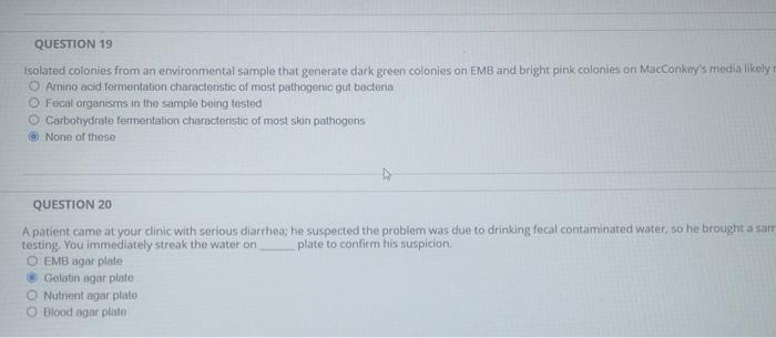 Solved Isolated colonies from an environmental sample that | Chegg.com