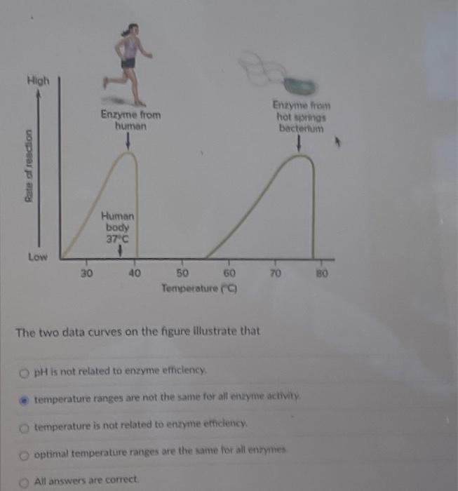 Solved The two data curves on the figure illustrate that pH | Chegg.com
