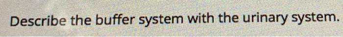 Solved Describe the buffer system with the urinary system. | Chegg.com