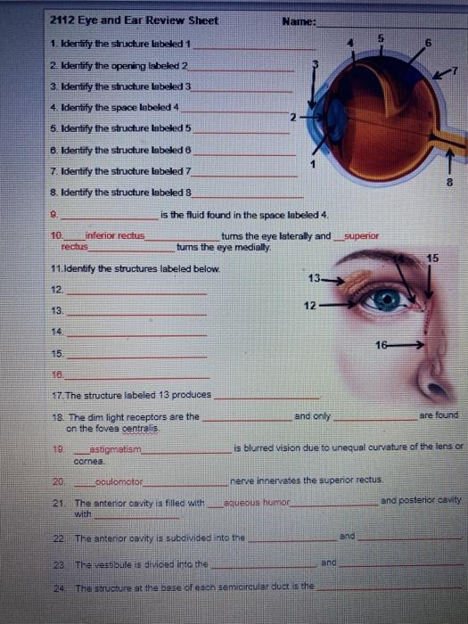 Solved 2112 Eye and Ear Review Sheet Name: 1. Identify the | Chegg.com