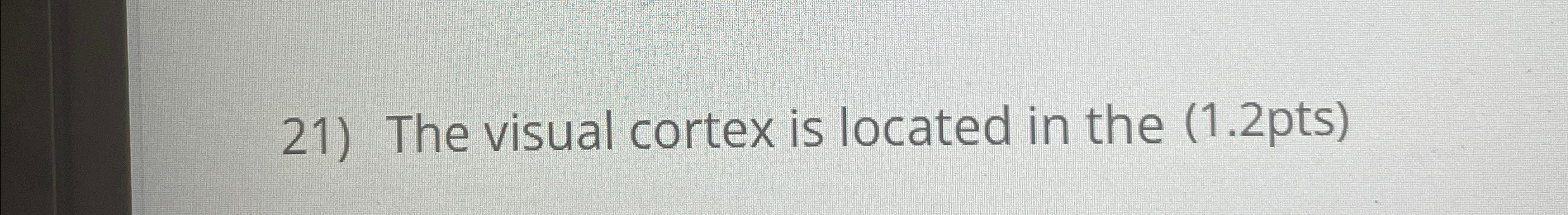 Solved The visual cortex is located in the (1.2pts) | Chegg.com
