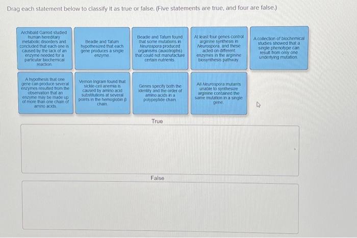 Solved Drag each statement below to classify it as true or | Chegg.com