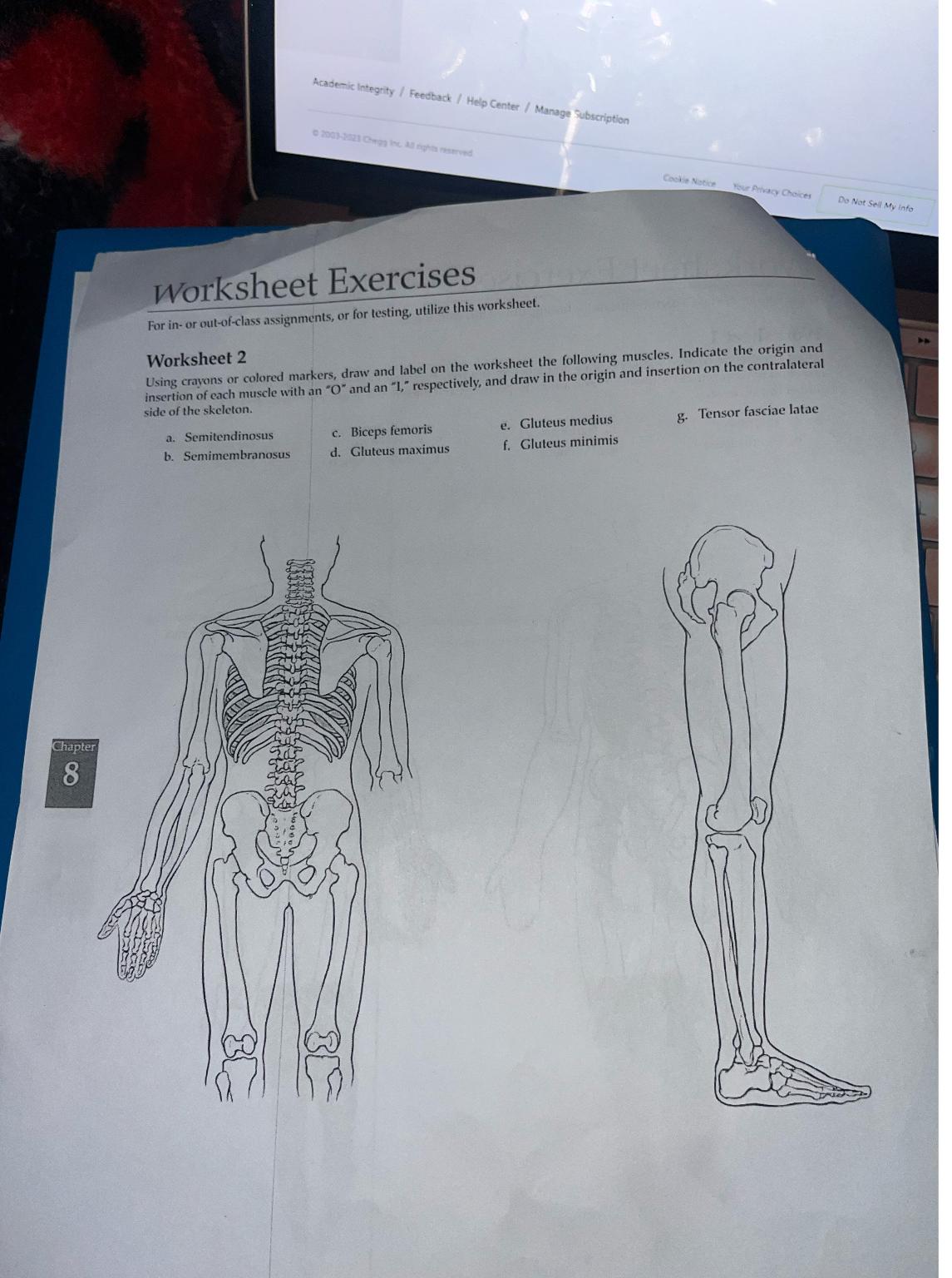 Worksheet ExercisesFor in-or out-of-class | Chegg.com