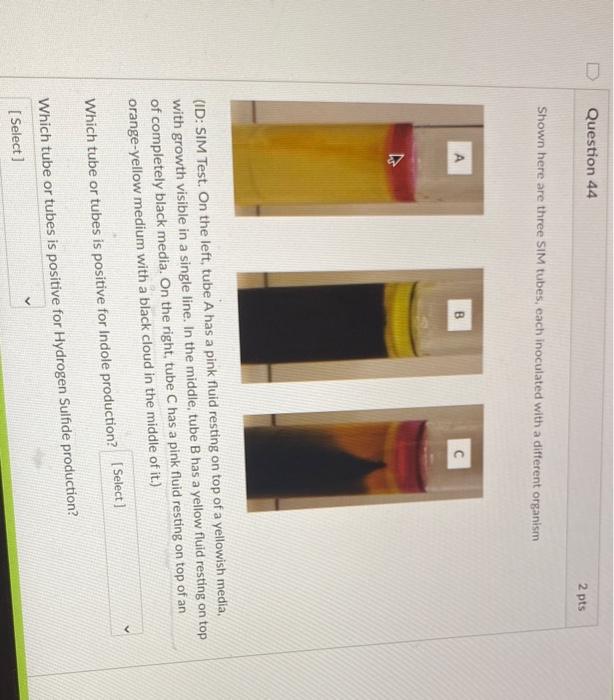 Solved D Question 44 2 pts Shown here are three SIM tubes, | Chegg.com