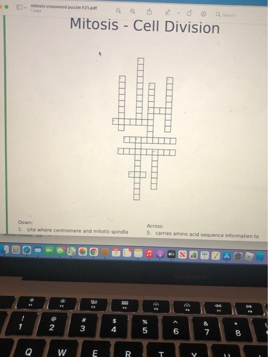 - mitosis crossword puzzle F21.pdt Mitosis - Cell | Chegg.com