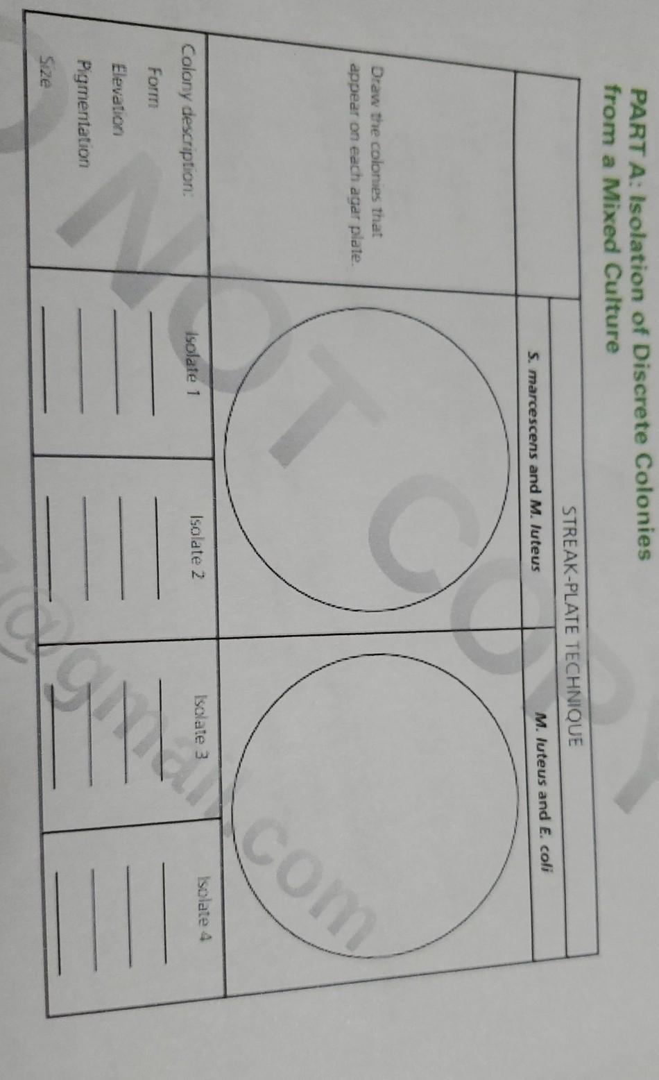 Solved PART A: Isolation of Discrete Colonies from a Mixed | Chegg.com
