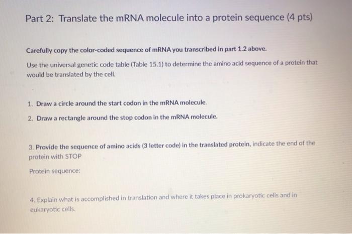 Solved Part 1: Transcribe a small fragment of DNA (3 pts) | Chegg.com