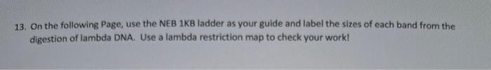 Solved 13. On the following Page, use the NEB 1 KB ladder as | Chegg.com