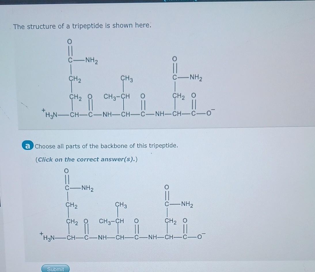 Solved The structure of a tripeptide is shown here. Choose | Chegg.com