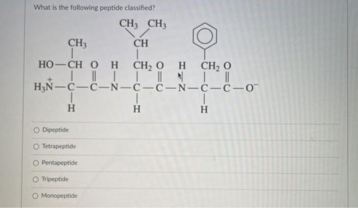 Solved What is the following peptide classified? CH3 CH3 CH3 | Chegg.com