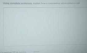 Solved Using complete sentences, explain how á ﻿coronavifus | Chegg.com