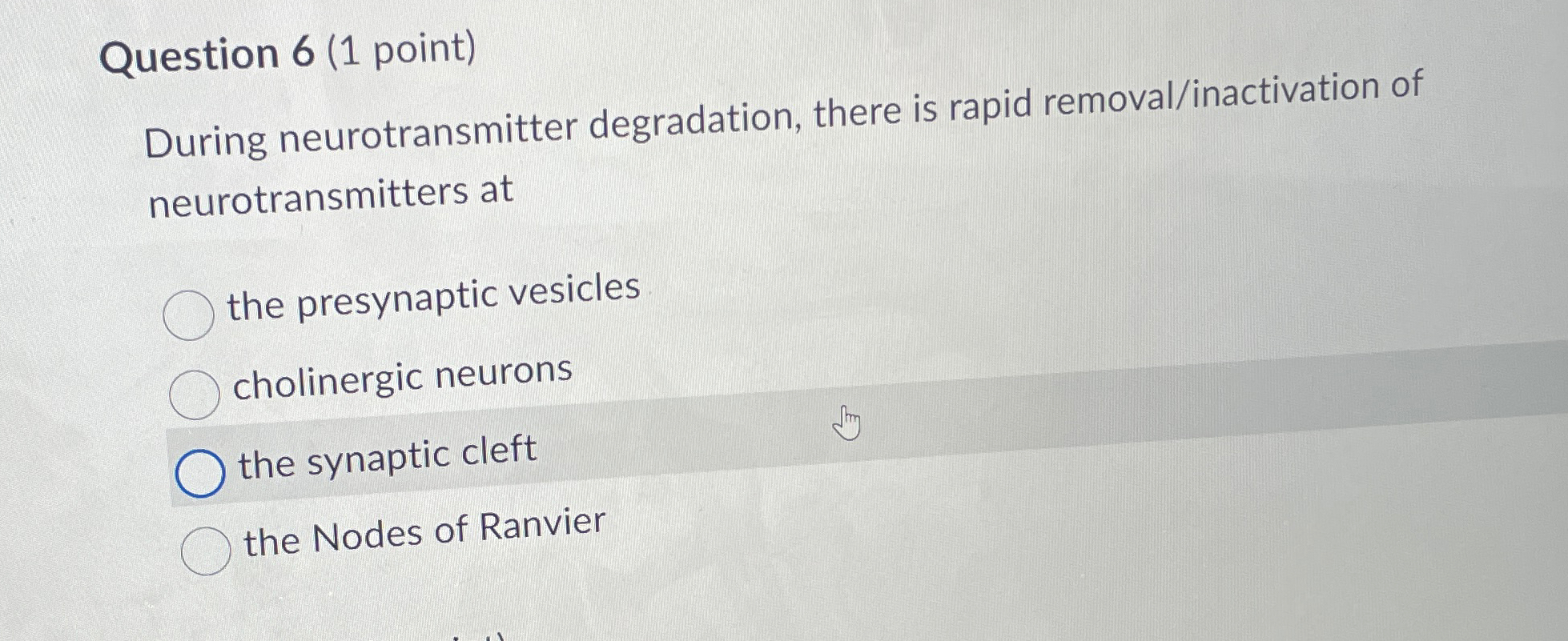 Solved Question 6 (1 ﻿point)During neurotransmitter | Chegg.com