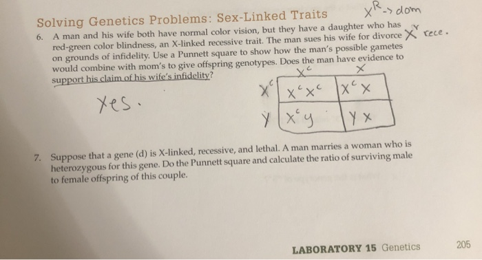 Solved Solving Genetics Problems Sex Linked Traits 6 A Man