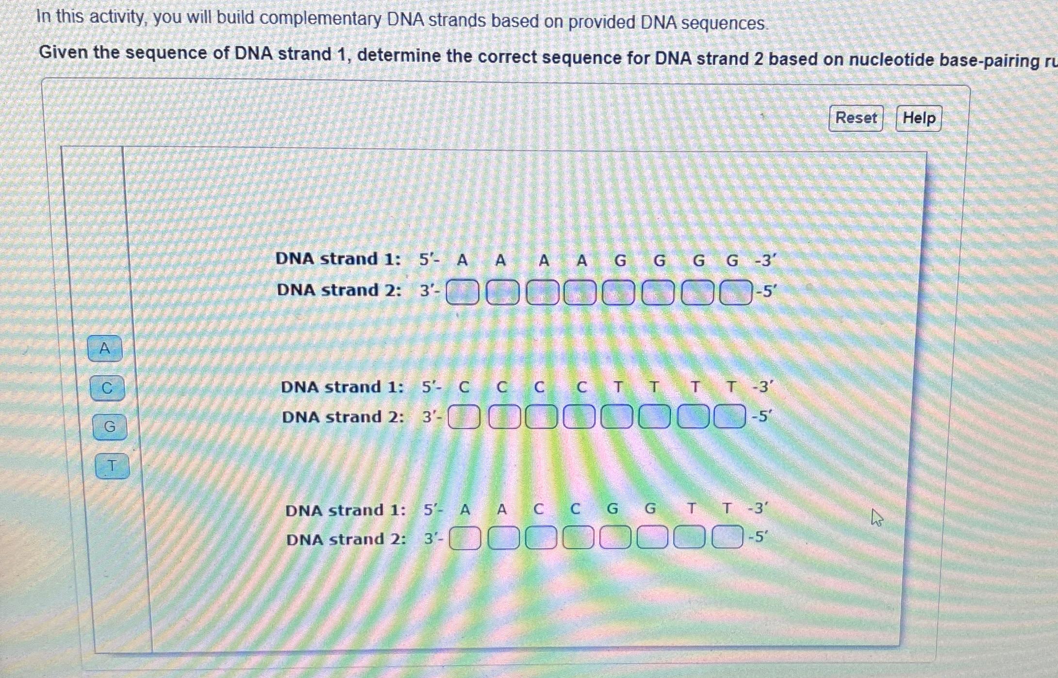 Solved In this activity, you will build complementary DNA | Chegg.com