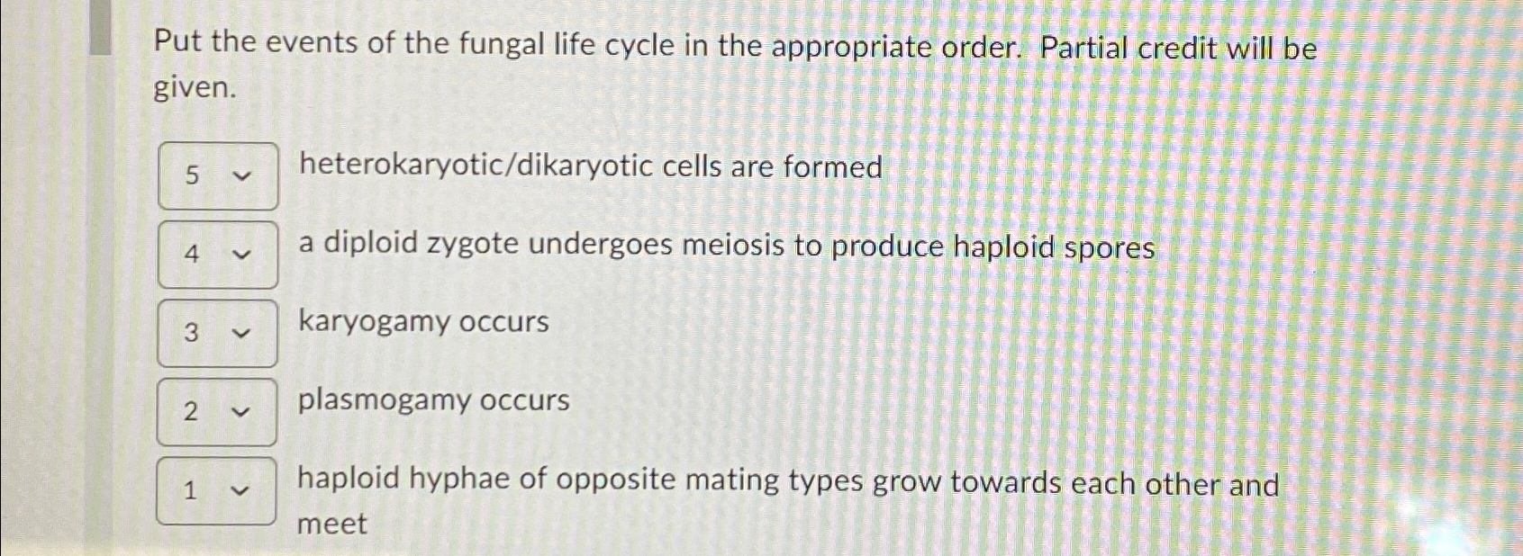 Solved Put The Events Of The Fungal Life Cycle In The 6806