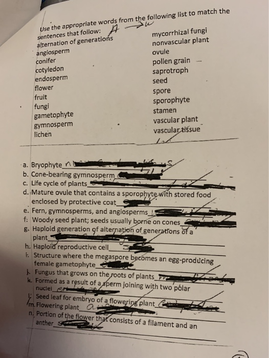 Solved Use the appropriate words from the following list to | Chegg.com