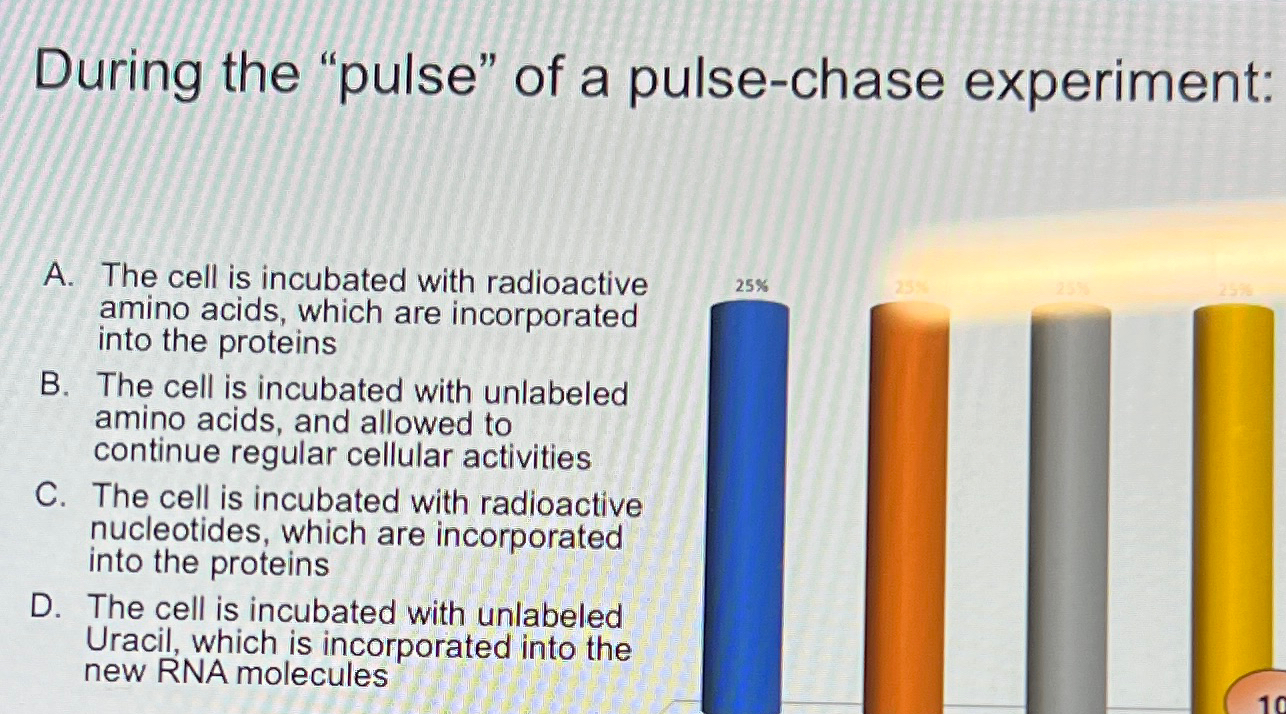Solved During the "pulse" of a pulse-chase experiment:A. | Chegg.com