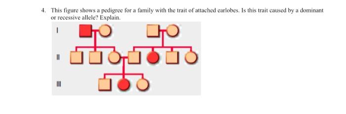 Solved 1. In garden pea plants, the allele for inflated pod | Chegg.com