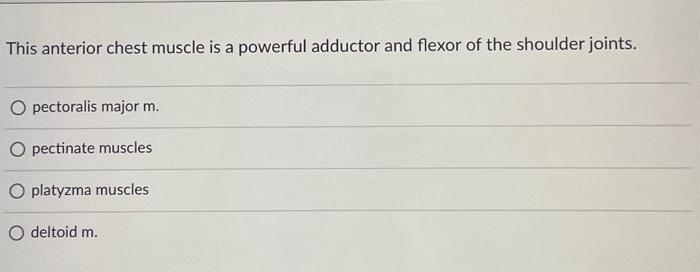Solved This anterior chest muscle is a powerful adductor and | Chegg.com