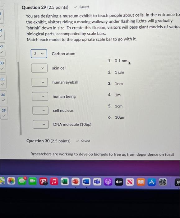 You are designing a museum exhibit to teach people | Chegg.com