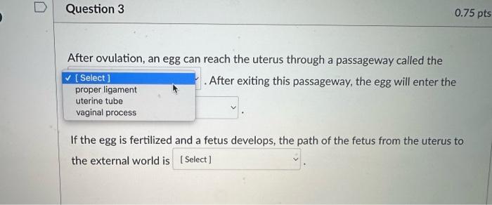 Solved After ovulation, an egg can reach the uterus through | Chegg.com